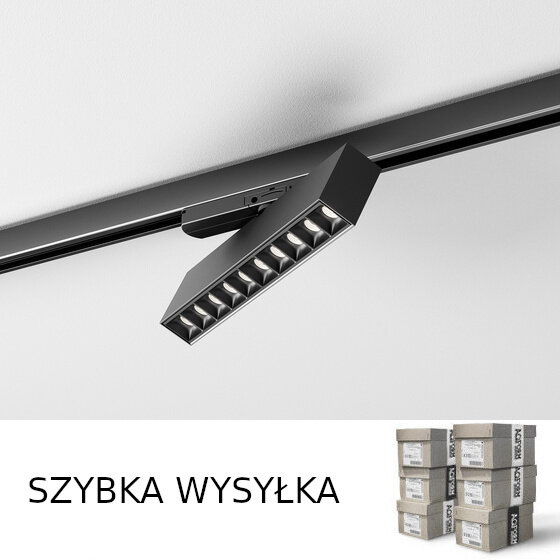 RAFTER points LED track oprawa do szynoprzewodu 3F 3000K AQform | Sklep ...